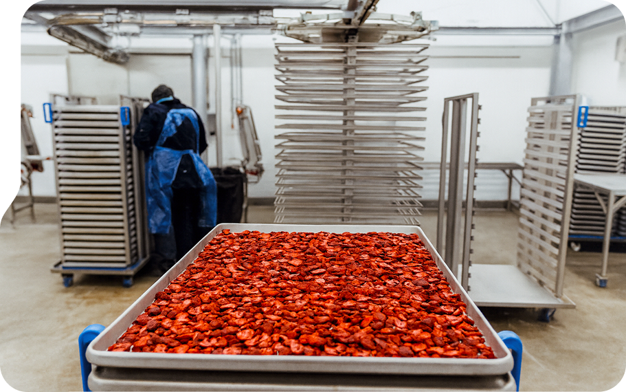 Fruzo | Your daily dose of fruit and vegetables